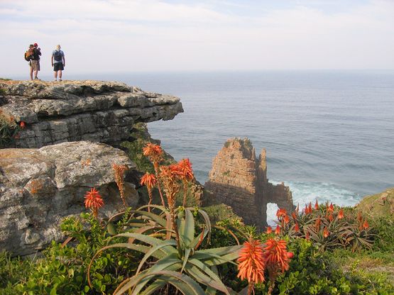 Pondo-Explorer Hiking Trail | Active Escapes