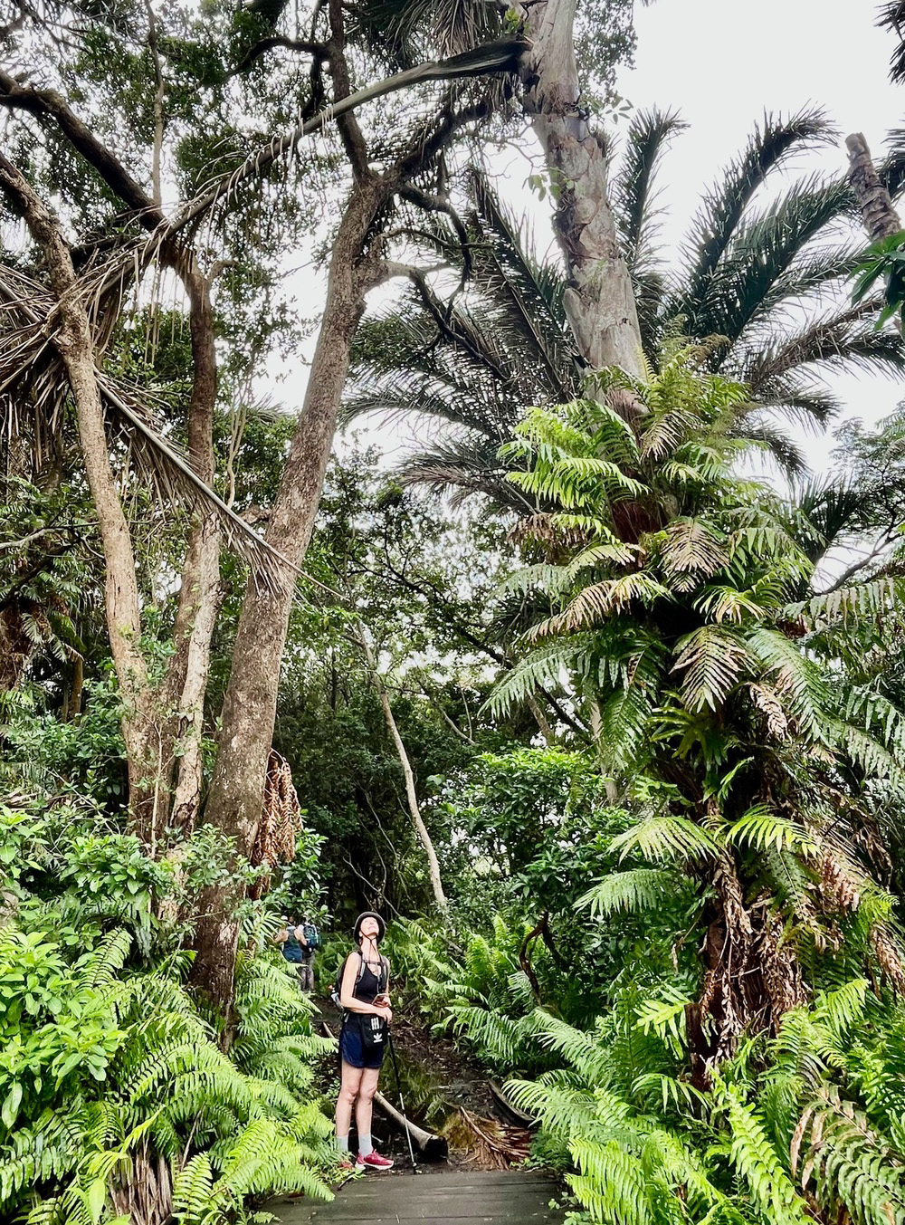 Zululand Rover - 3 Day Slackpacker, Mtunzini KZN | Active Escapes