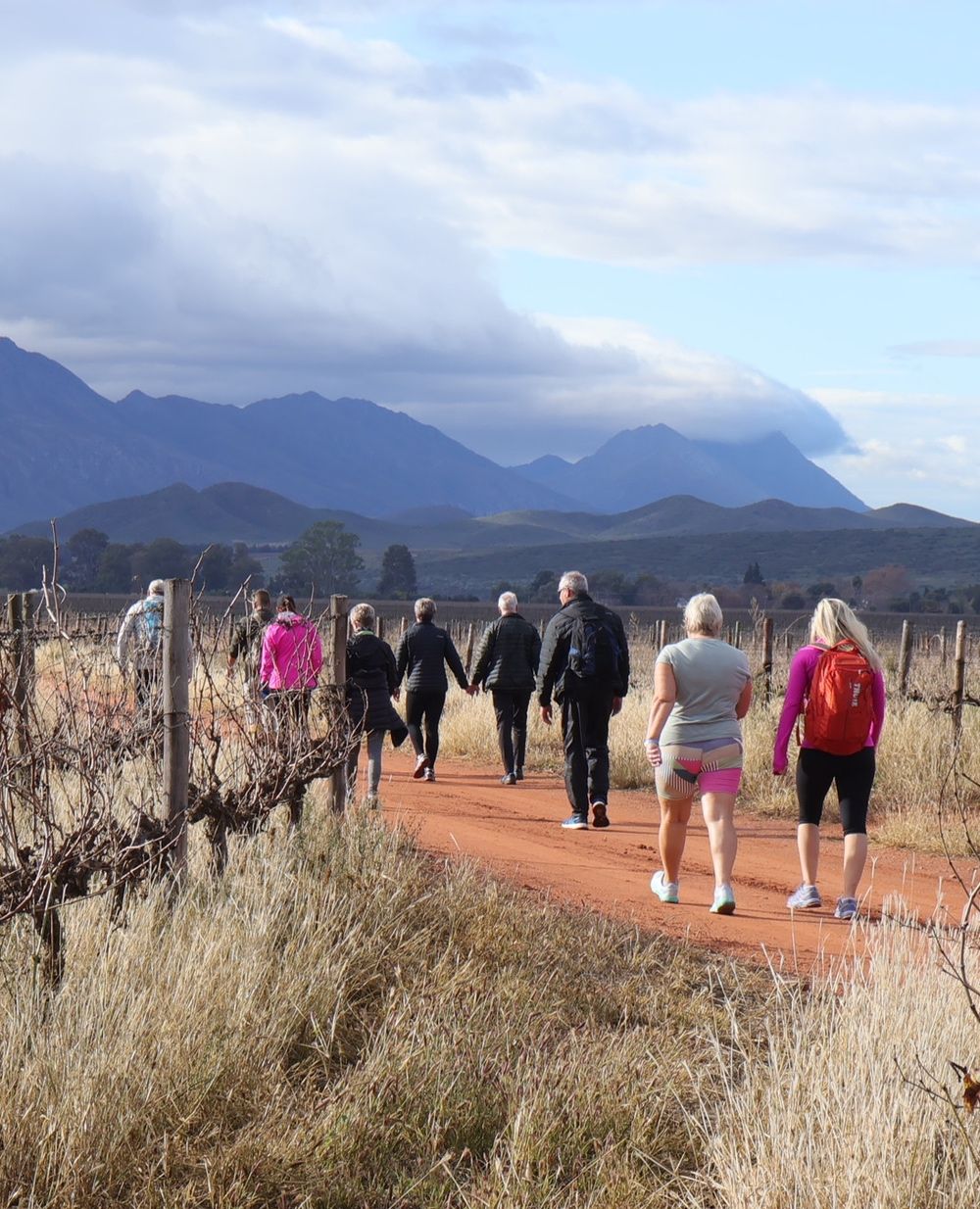 Robertson Wine Walk - Western Cape | Active Escapes