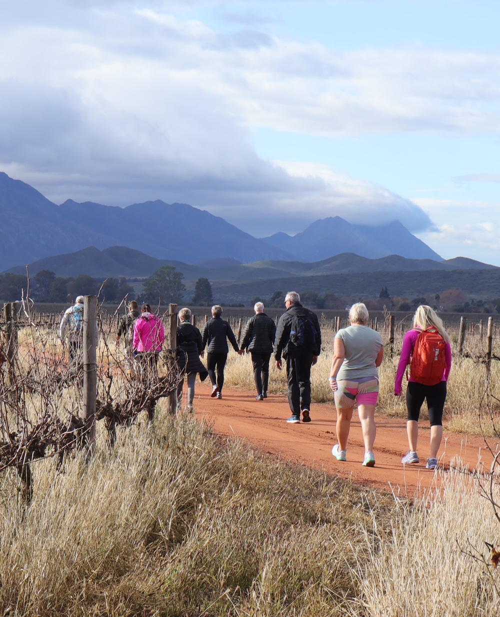 Robertson Wine Walk - Western Cape | Active Escapes