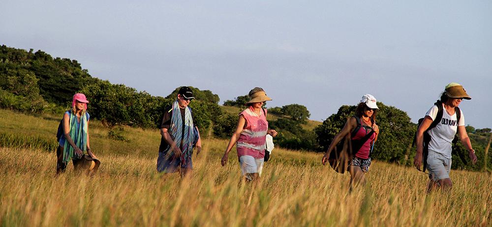 Hiking / Slackpacking | Active Escapes